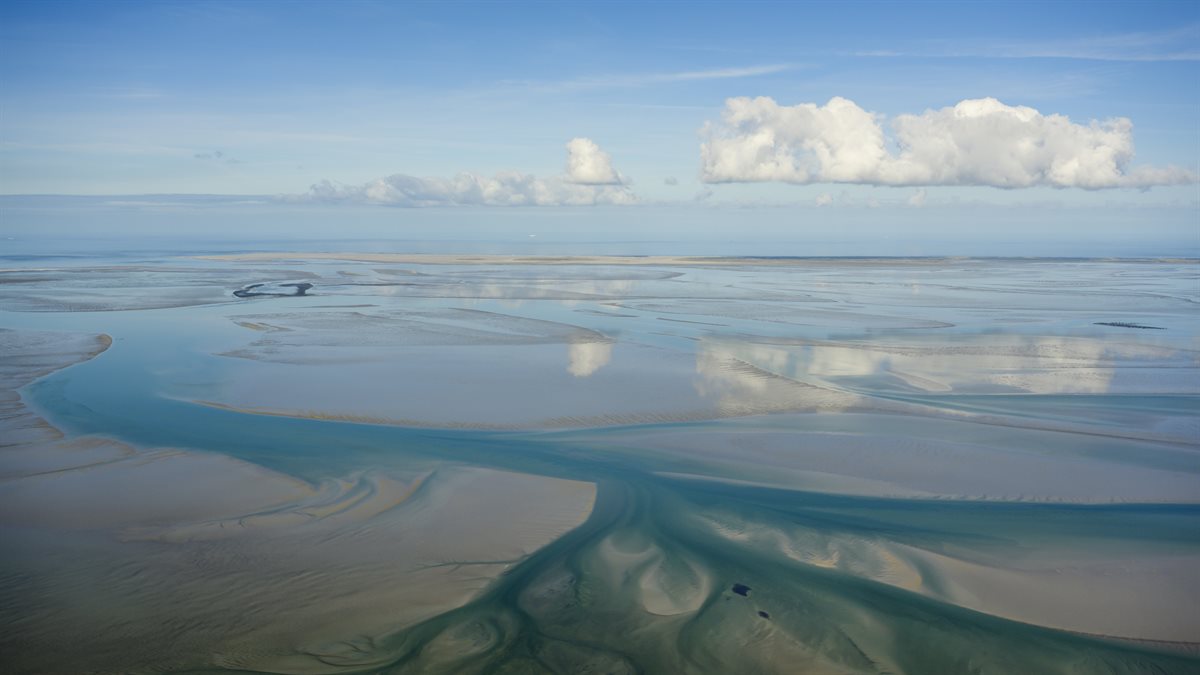 Natuurbescherming Waddenzee kost meer tijd - Waddenzee
