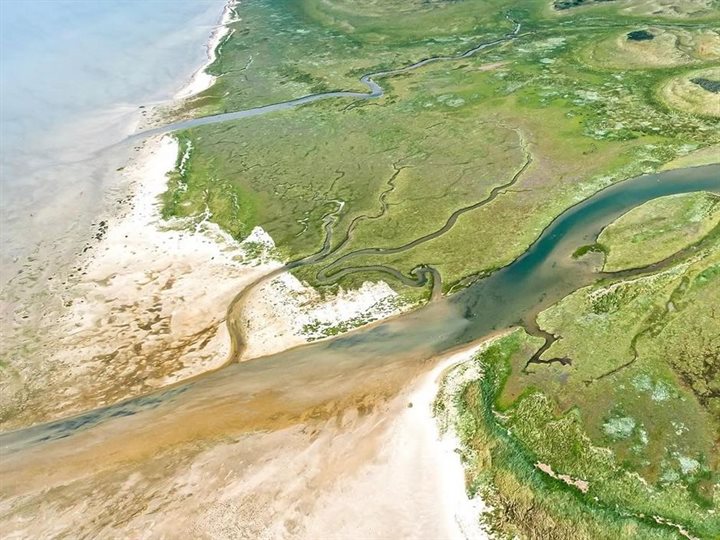 Home | Waddenzee