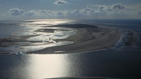 Natuurbeleid Wadden - Waddenzee