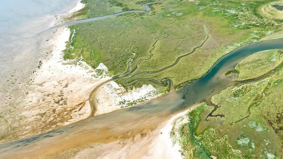 Natuur - Waddenzee