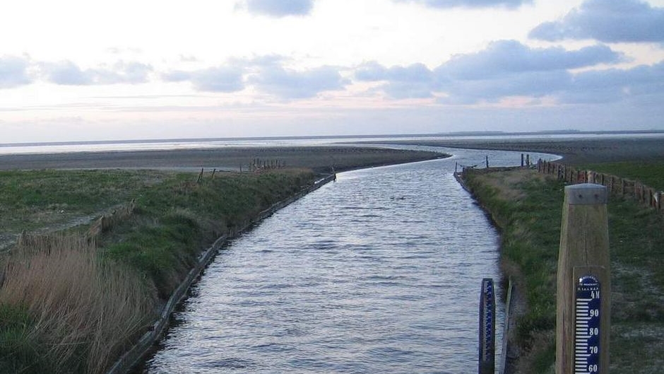 Zoet-zoutovergangen - Waddenzee