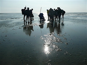 Werelderfgoed Waddenzee - Waddenzee