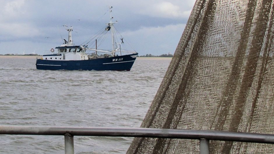 Visserij - Waddenzee